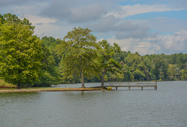 Bee Ridge | Solar Energy Solutions